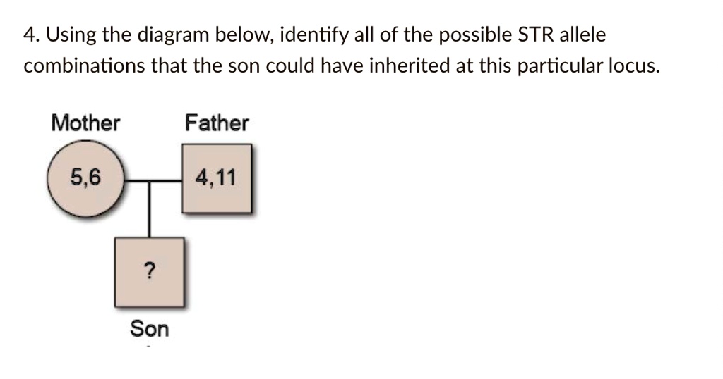 SOLVED: 4 Using the diagram below; identify all of the possible STR ...