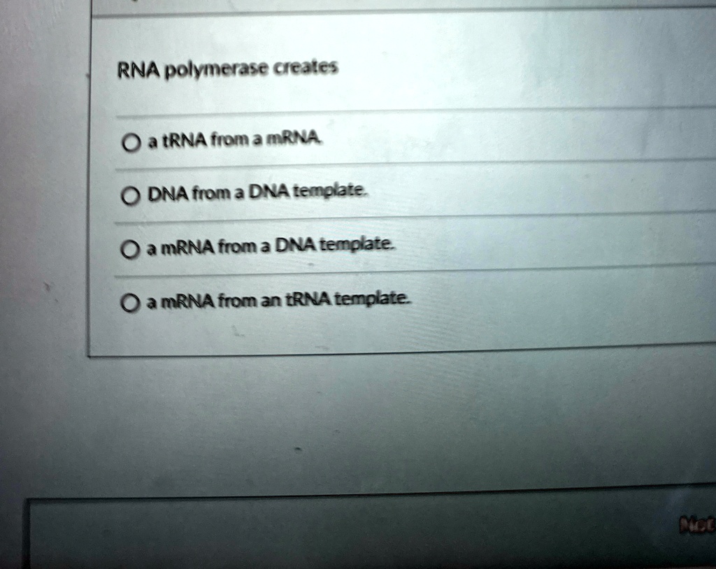 rna polymerase creates a trna from a mrna dna from a dna template a ...