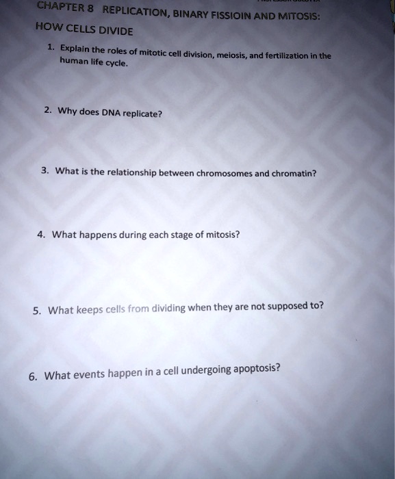 CHAPTER 8 REPLICATION, BINARY FISSIOIN AND MITOSIS: HOW...