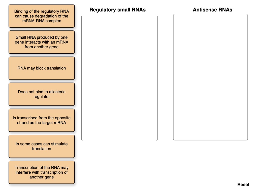 Binding of the regulatory RNA can cause degradation of the mRNA-RNA ...