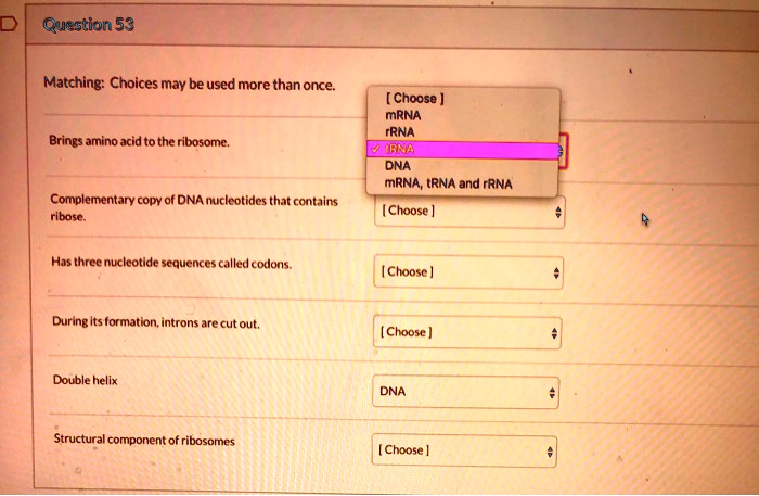 SOLVED: Question 53 Matching: Choices = may be used more than once ...