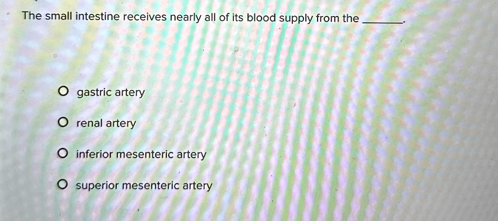 The small intestine receives nearly all of its blood supply from the O ...