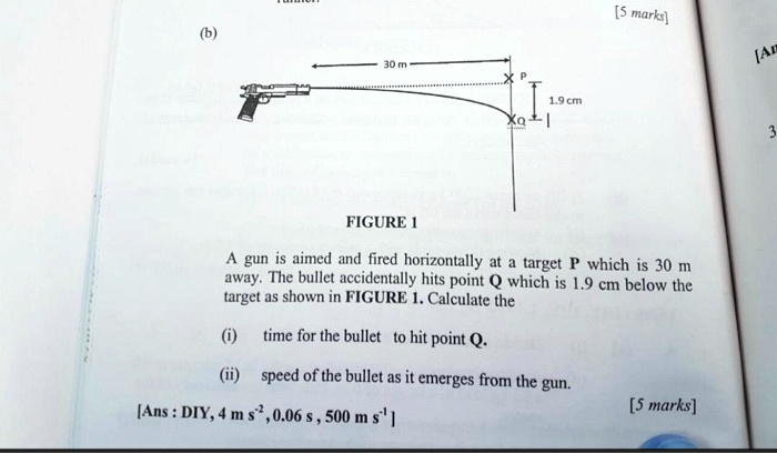 SOLVED: marks] L9cm FIGURE A gun is aimed and fired horizontally at target P which is 30 m away ...