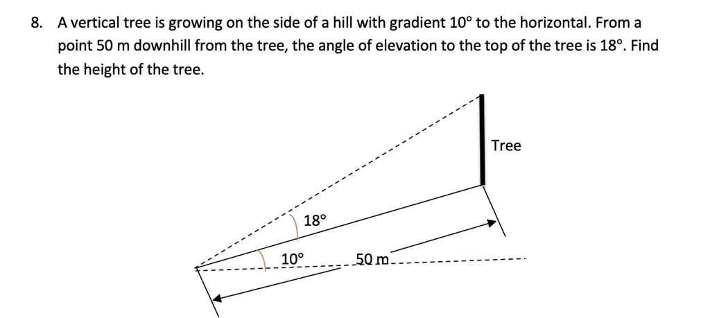 a vertical tree is growing on the side of a hill with gradient 100 to ...