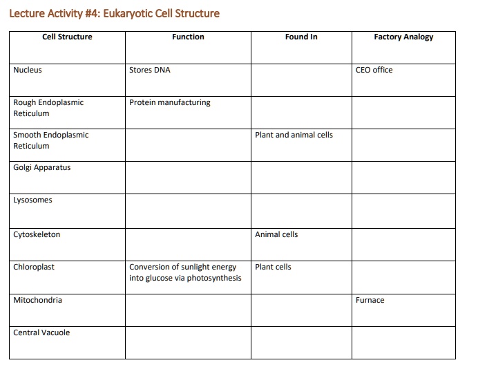 Lecture Activity #4: Eukaryotic Cell Structure Cell Structure Function ...