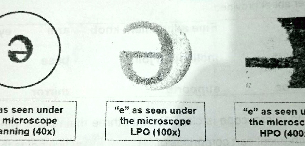 knowing the difference in the orientation of letter e with the naked ...