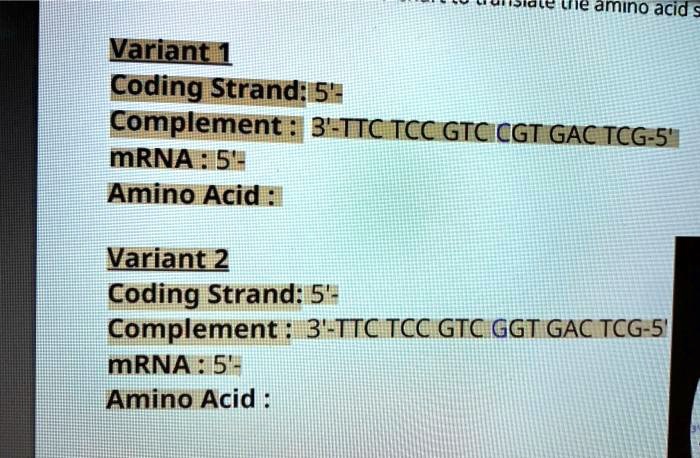SOLVED:'jiale lrie amino acid Variant l Coding Strand: 52 Complement ...
