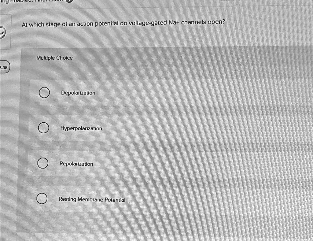 At which stage of an action potential do voltage-gated Na+ channels ...