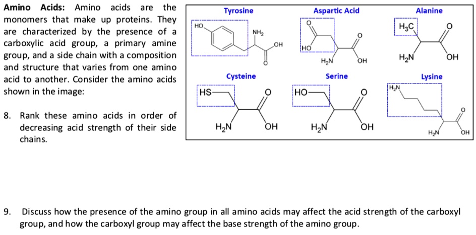 SOLVED: Amino Acids: Amino acids are the monomers that make up proteins ...