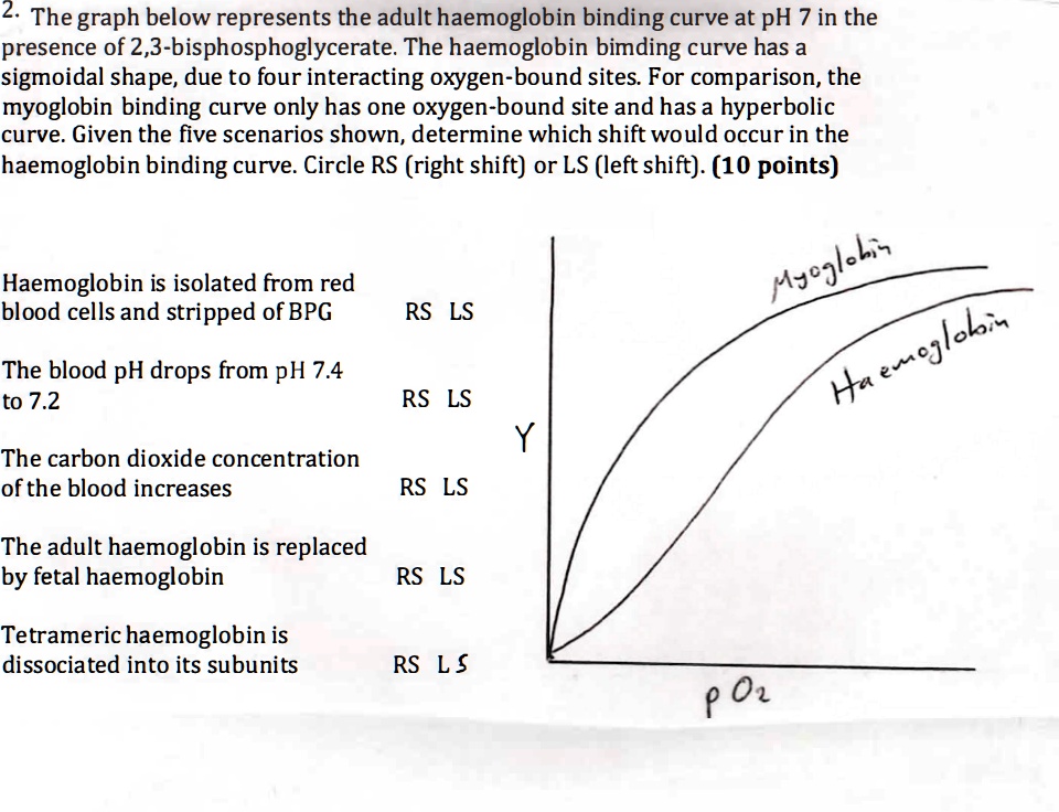 SOLVED: The graph below represents the adult hemoglobin binding curve ...