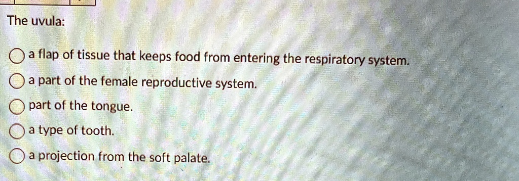 The uvula: a flap of tissue that keeps food from entering the ...