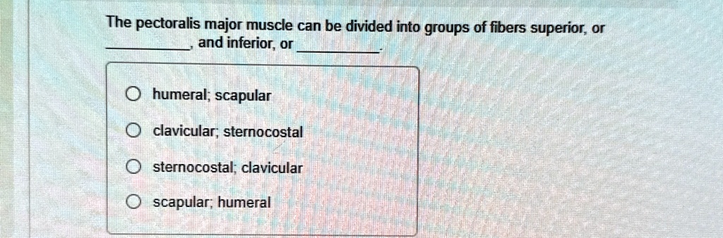 The pectoralis major muscle can be divided into groups of fibers ...