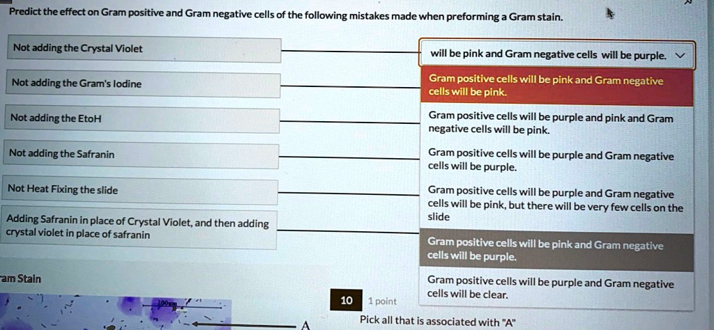 [GET ANSWER] predict the effect on gram positive and gram negative ...