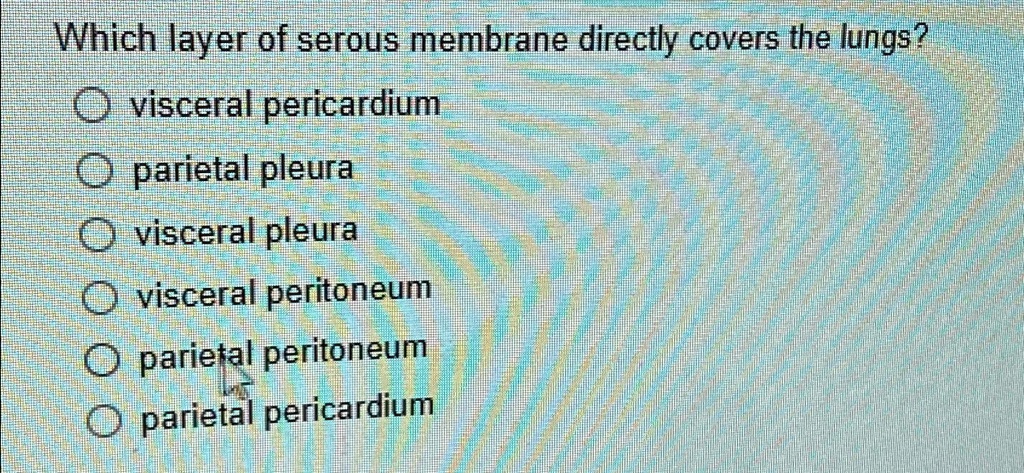 Which layer of serous membrane directly covers the lungs? visceral ...