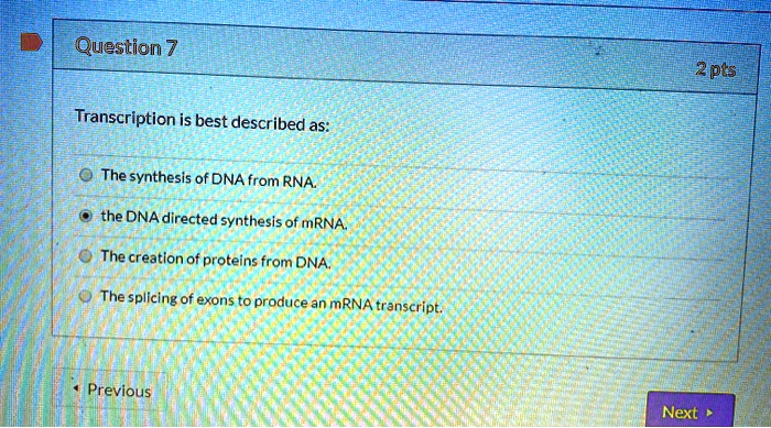 SOLVED: Question 7 2pt5 Transcription is best described as: The ...