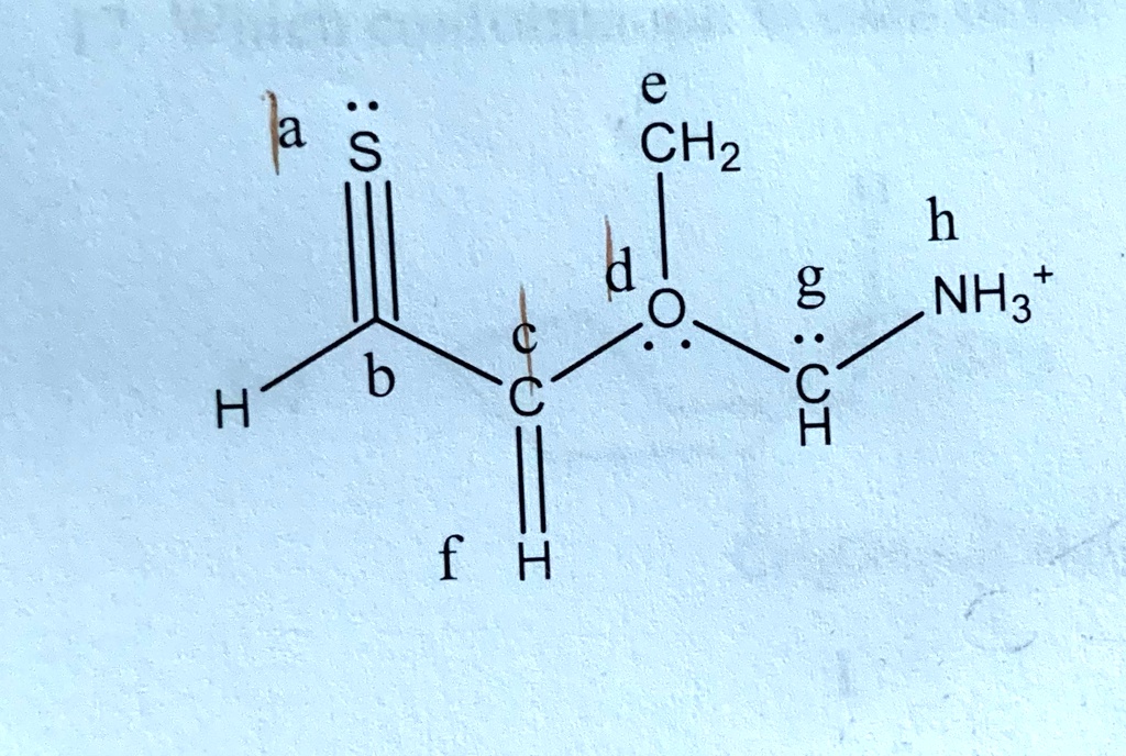 SOLVED: 'Which labeled atom(s) in the following compound is (are) in ...