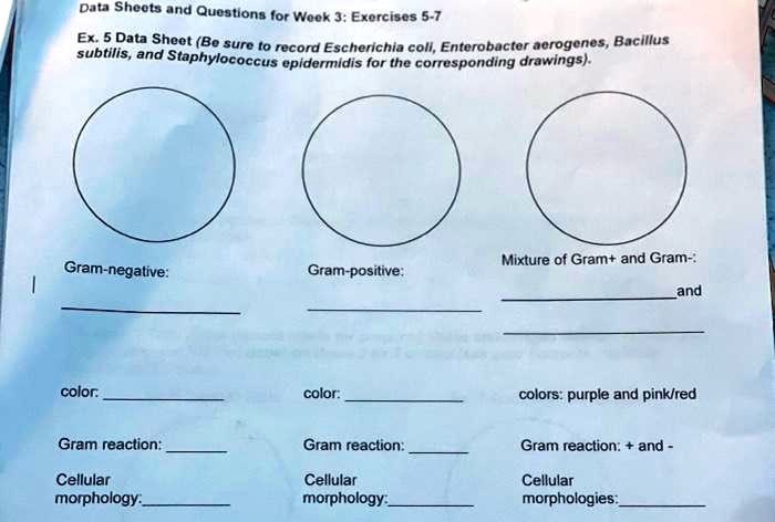 SOLVED: Gram-negative: Gram-positive: Mixture of Gram+ and Gram- and ...