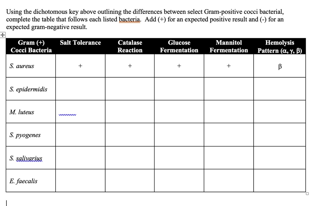 SOLVED: Using the dichotomous key above outlining the differences ...
