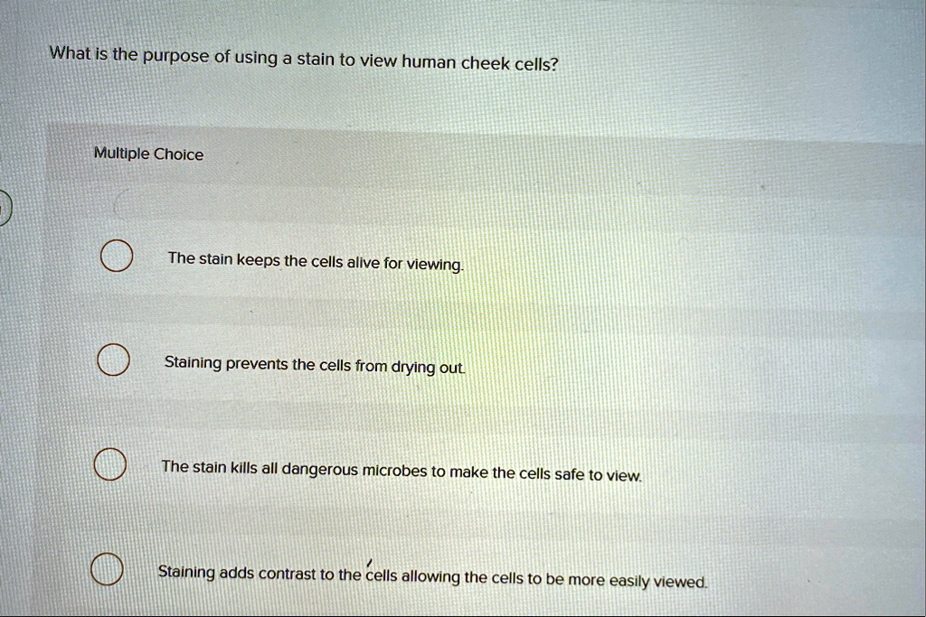 what is the purpose of using a stain to view human cheek cells multiple ...