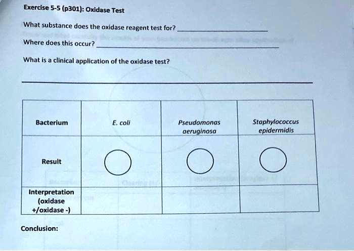 exercise 5 5 p301 oxidase test what substance does the oxidase reagent ...