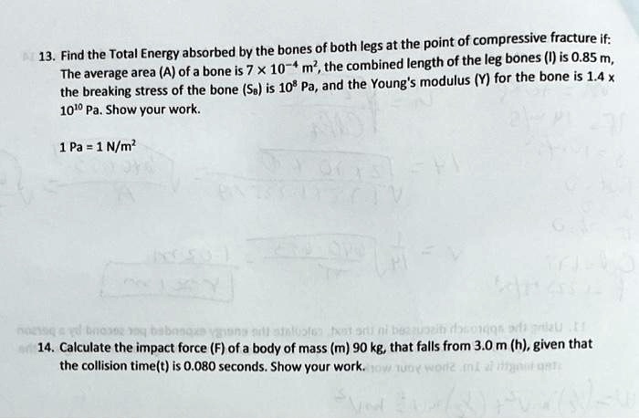 SOLVED: The average area A of a bone is710- mthe combined length of the ...