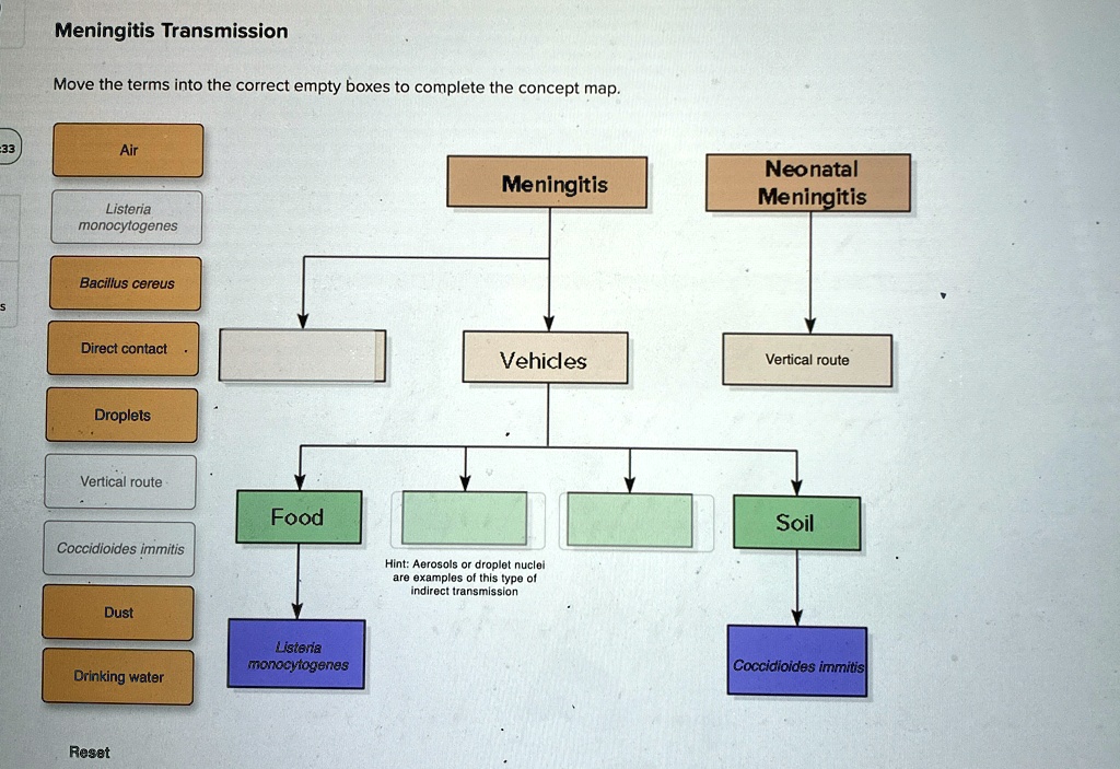 Meningitis Transmission Move the terms into the correct empty boxes to ...