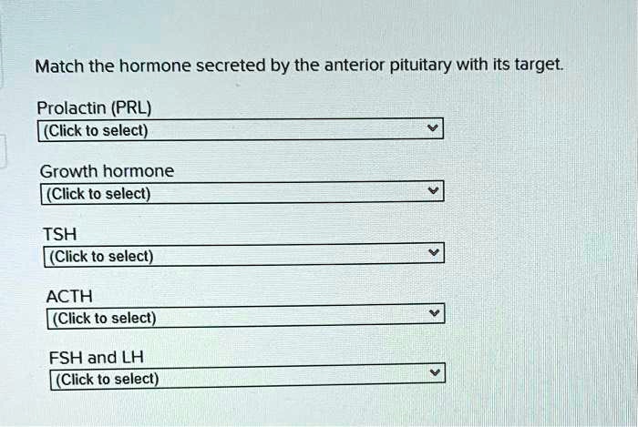 Match the hormone secreted by the anterior pituitary with...