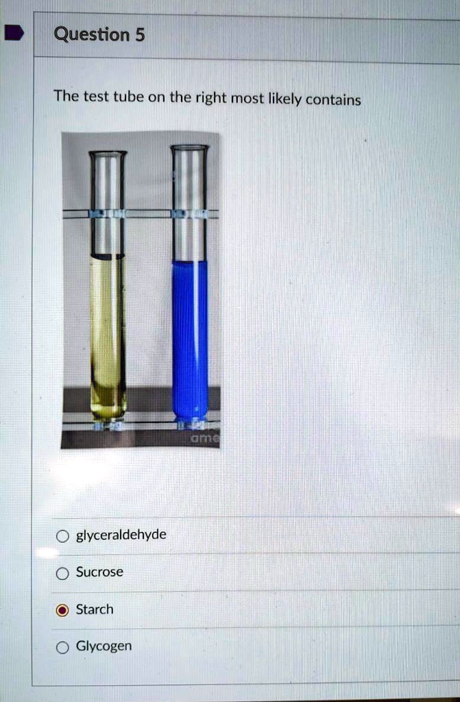 question 5 the test tube on the right most likely contains ame ...