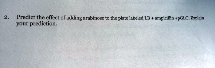SOLVED: Predict the effect of adding arabinose to the plate labeled LB ...
