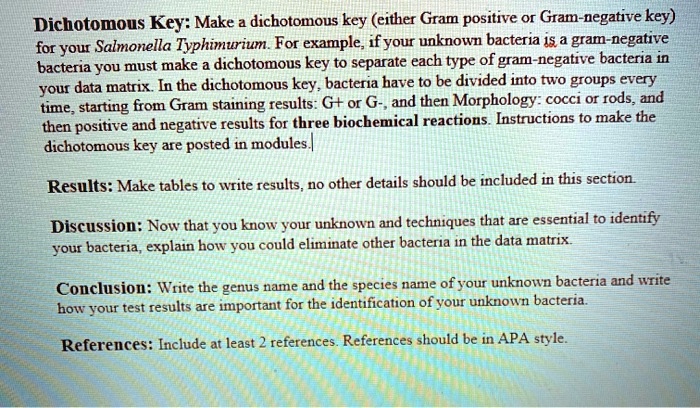SOLVED: Dichotomous Key: Make a dichotomous key (either Gram positive ...