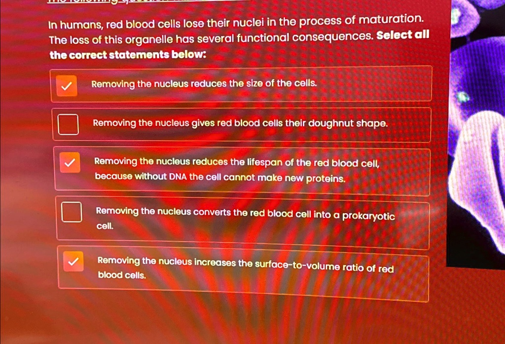 Cant Make Red Blood Cells