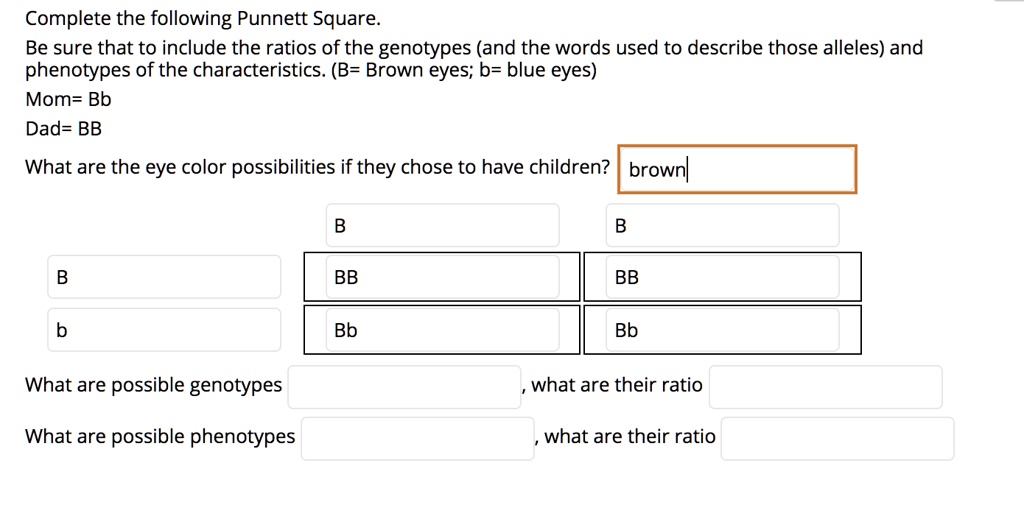 complete the following punnett square be sure that to include the ...