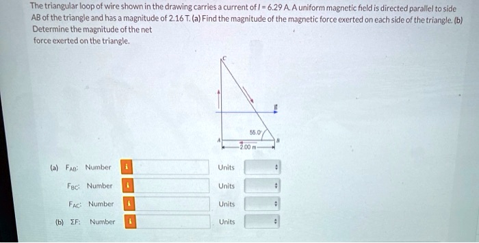 The triangular loop of wire shown in the drawing carr… - SolvedLib