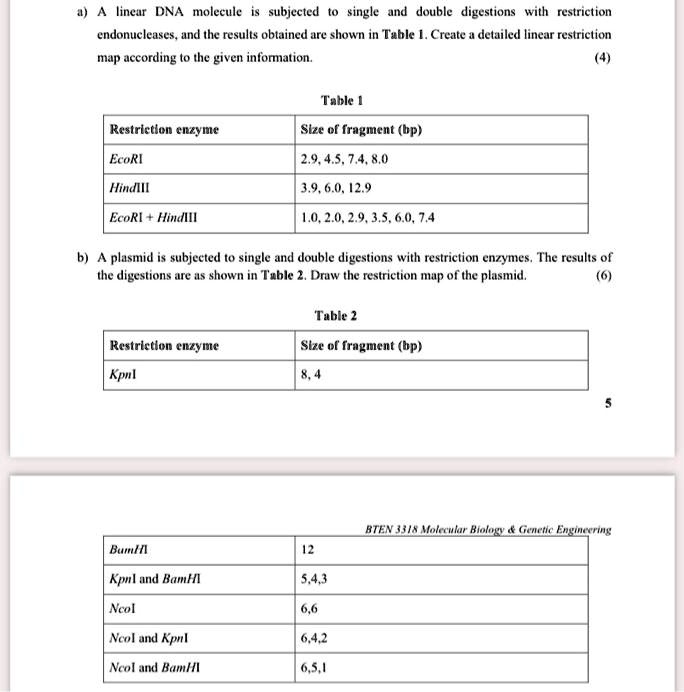 Title: Restriction Digestion and Mapping of a Plasmid DNA Molecule The plasmid was subjected to ...