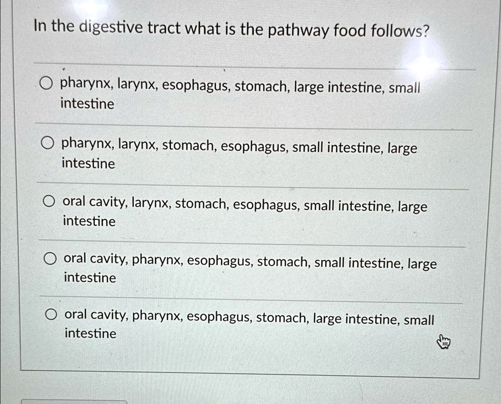 In the digestive tract what is the pathway food follows? ? pharynx ...