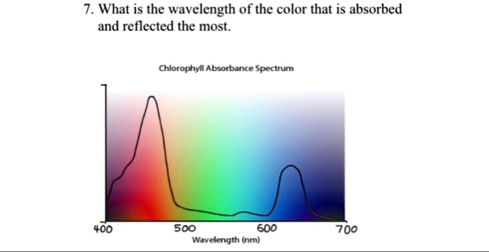 SOLVED: 7. What is the wavelength of the color that is absorbed and ...