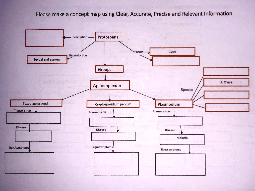 please make a concept map using clear accurate precise and relevant ...