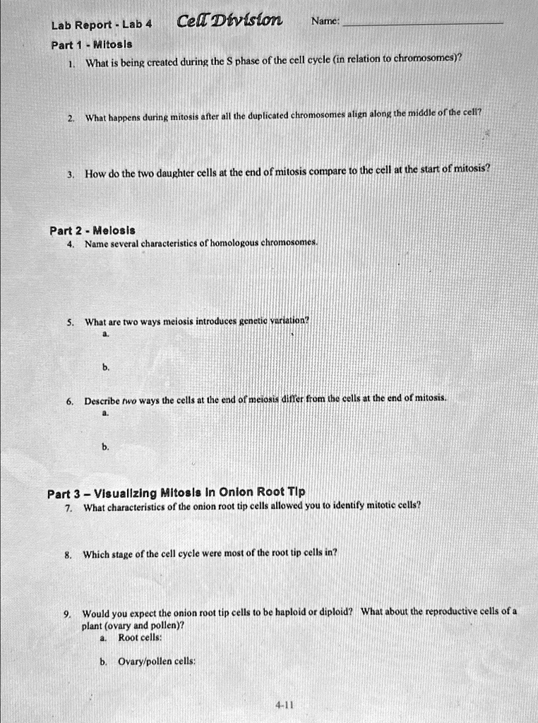 SOLVED: Lab Report - Lab 4 Cell Division Name Part 1 - Mitosis 1. What ...
