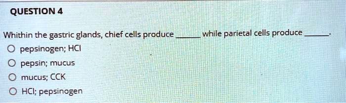 SOLVED: Within the gastric glands, chief cells produce pepsinogen; HCl pepsin; mucus; CCK; HCl ...