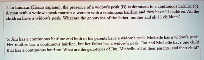 SOLVED: In humans (Homo sapiens), the presence of a widow's peak (B) is ...