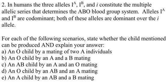 SOLVED: In humans the three alleles I^ , IB, and constitute the ...