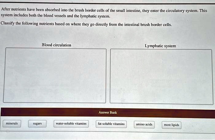 After nutrients have been absorbed into the brush border cells of the ...