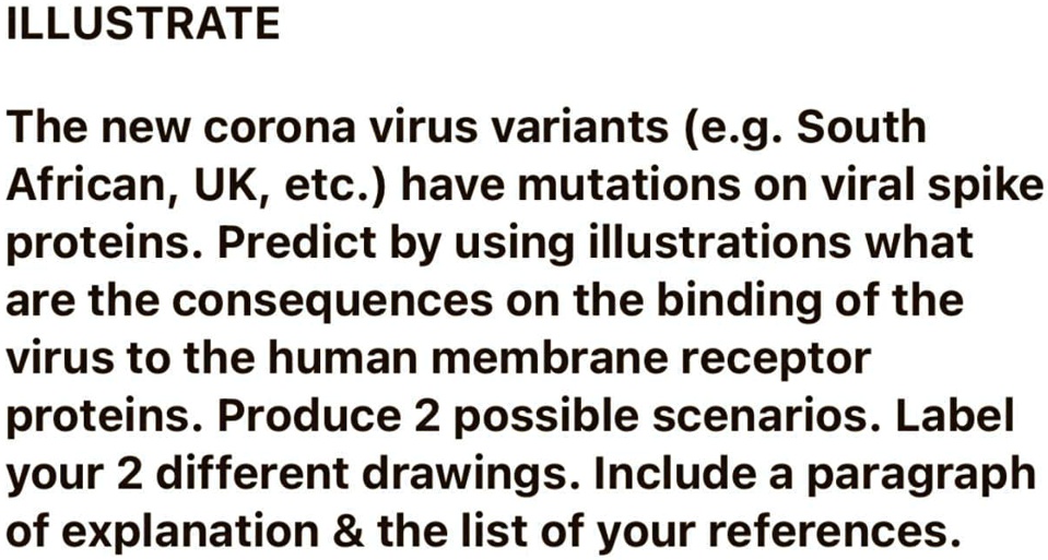 SOLVED: ILLUSTRATE The new corona virus variants (e.g: South African ...