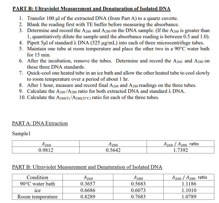 SOLVED: PART B: Ultraviolet Measurement and Denaturation of Isolated ...