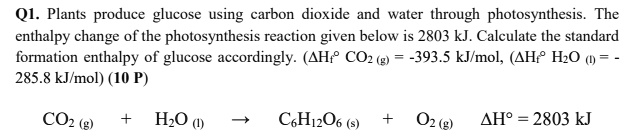 q1 plants produce glucose using carbon dioxide and water through ...