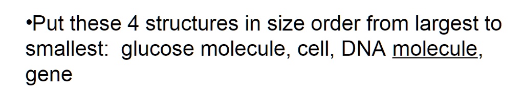SOLVED: Put these 4 structures in size order from largest to smallest ...