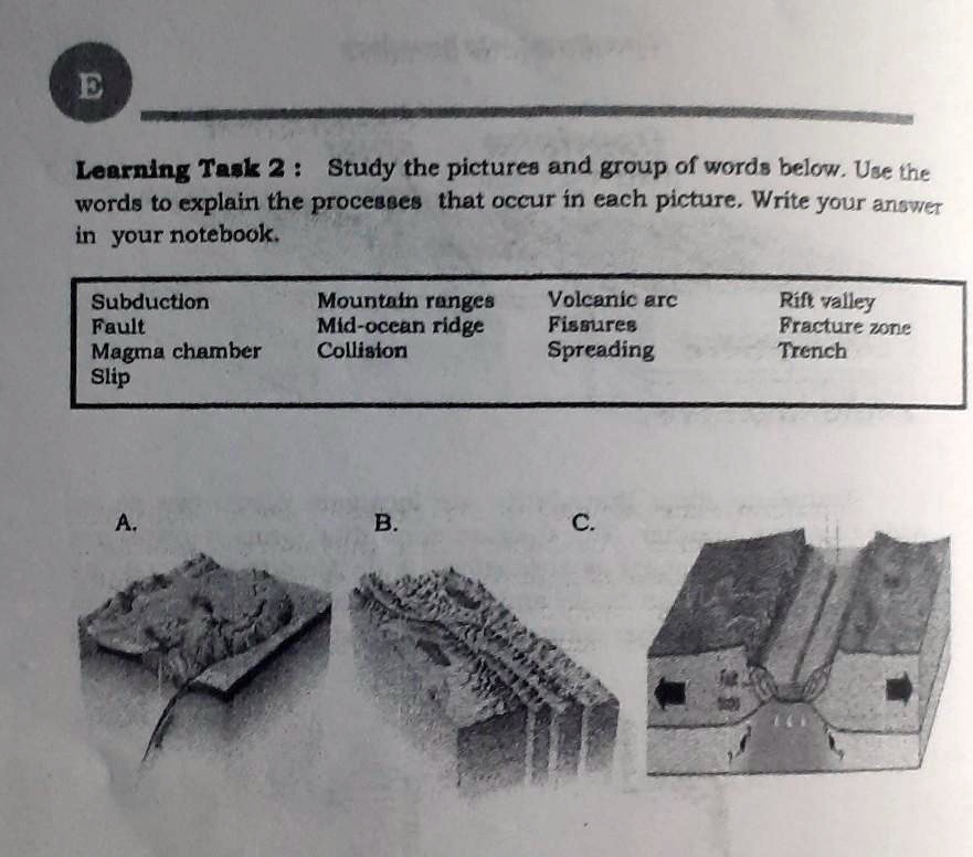 SOLVED: LEARNING TASK 2: Study the pictures and group of words below ...