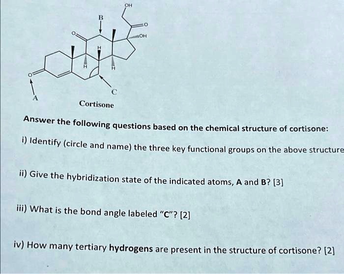 SOLVED: Text: Cortisone Answer the following questions based on the chemical structure of ...