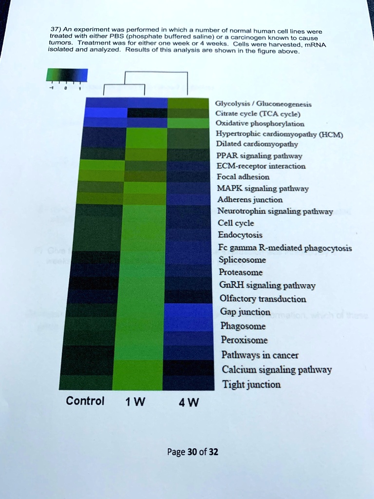 SOLVED:37). An experiment was performed which number of normal human ...