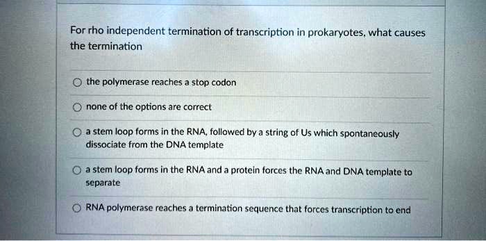 for rho independent termination of transcription in prokaryotes what ...